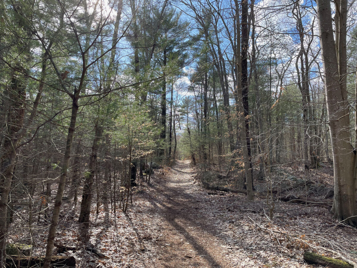 Whitney & Thayer Woods: James Hill Lane - Whitney Spur Rail Trail Loop ...