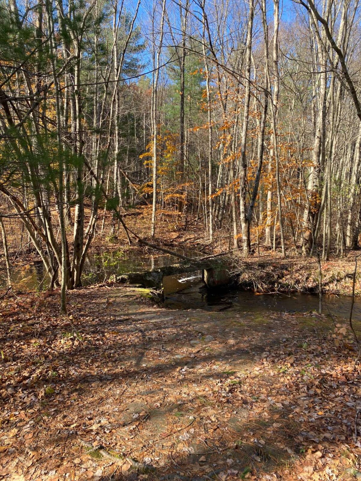 Wompatuck State Park: Accord Brook/Woodpecker Pond - Hingham Land ...