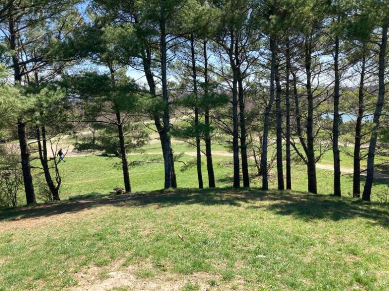 Stodders Neck: Hill Top Loop - Hingham Land Conservation Trust